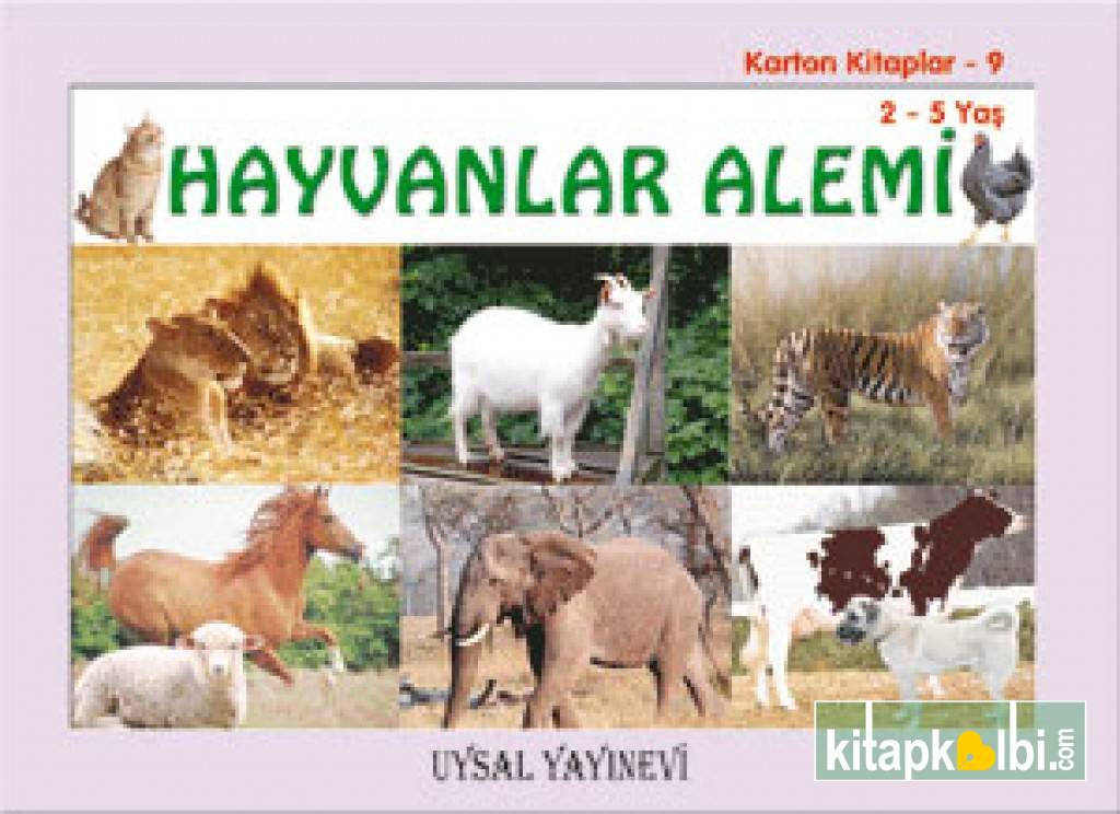 Hayvanlar Alemi 2-5 Yaş | KitapKalbi Yayıncılık