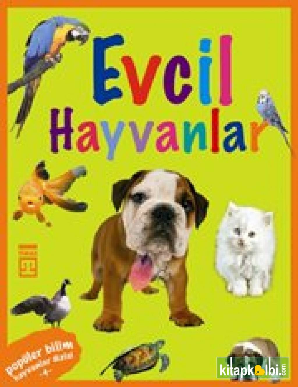 Evcil Hayvanlar | KitapKalbi Yayıncılık